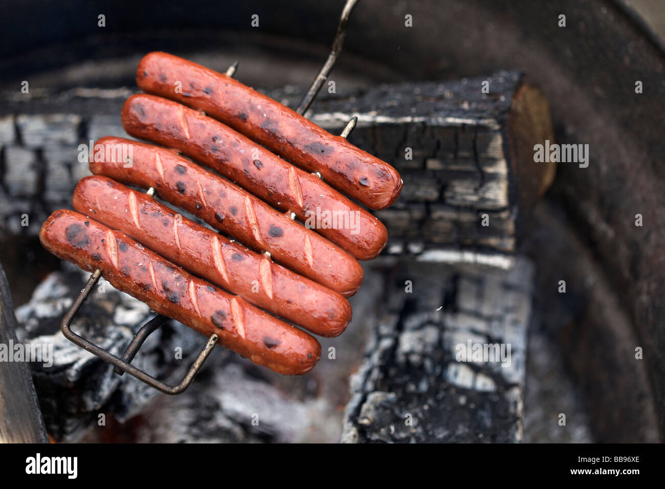 Toasting hot dogs on a campfire Stock Photo - Alamy