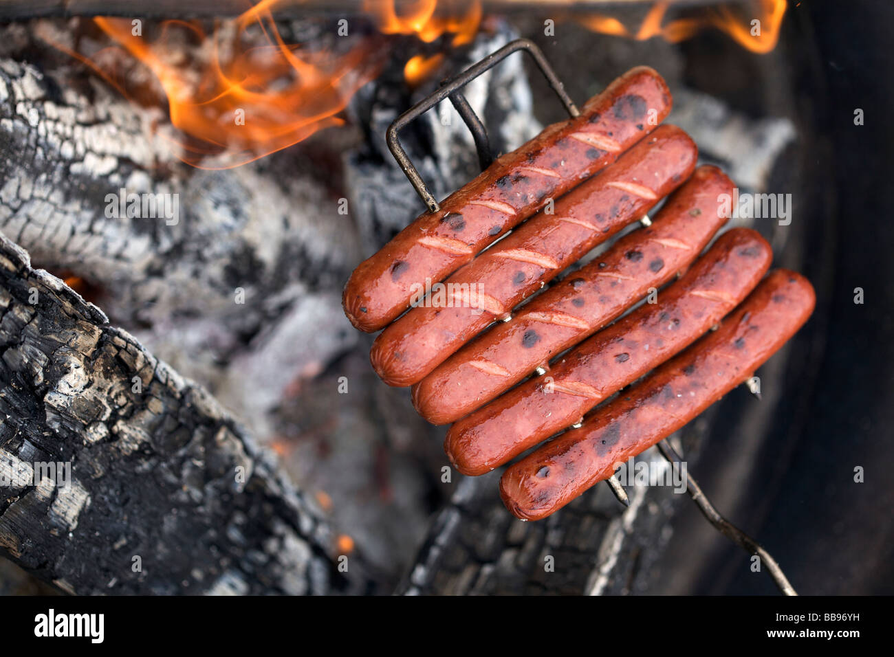 Toasting hot dogs on a campfire Stock Photo - Alamy