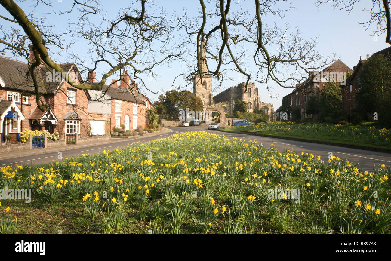 Spring Daffodils on the Village Green with the church in the background ...