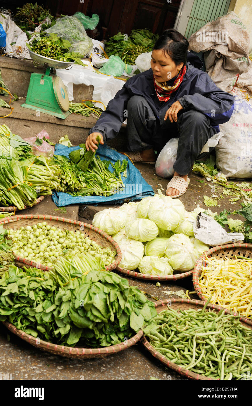 Vegetable vender at fresh market, Thanh Ha street, Old Quarter, Hanoi ...
