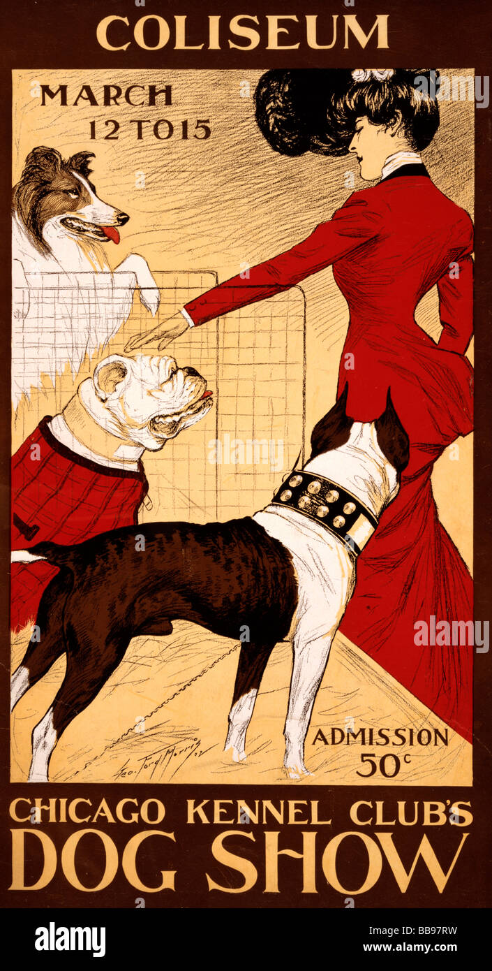 Advertisement for Chicago Kennel Club's dog show (1902 Stock Photo - Alamy
