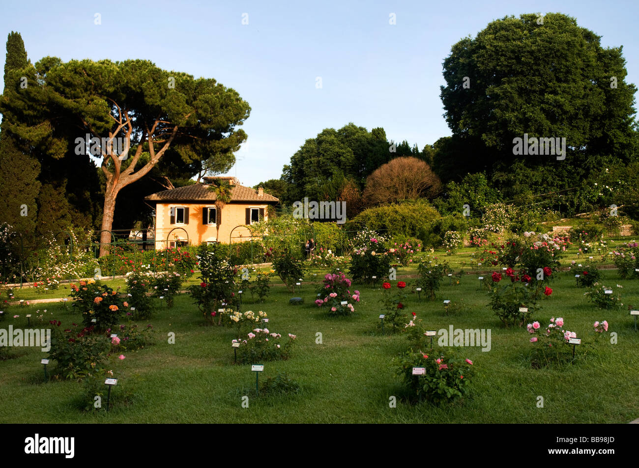 Italian rose garden hi-res stock photography and images - Alamy