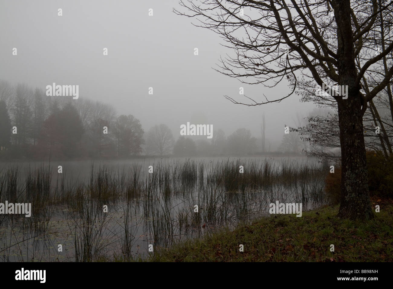 Mist over lake hi-res stock photography and images - Alamy