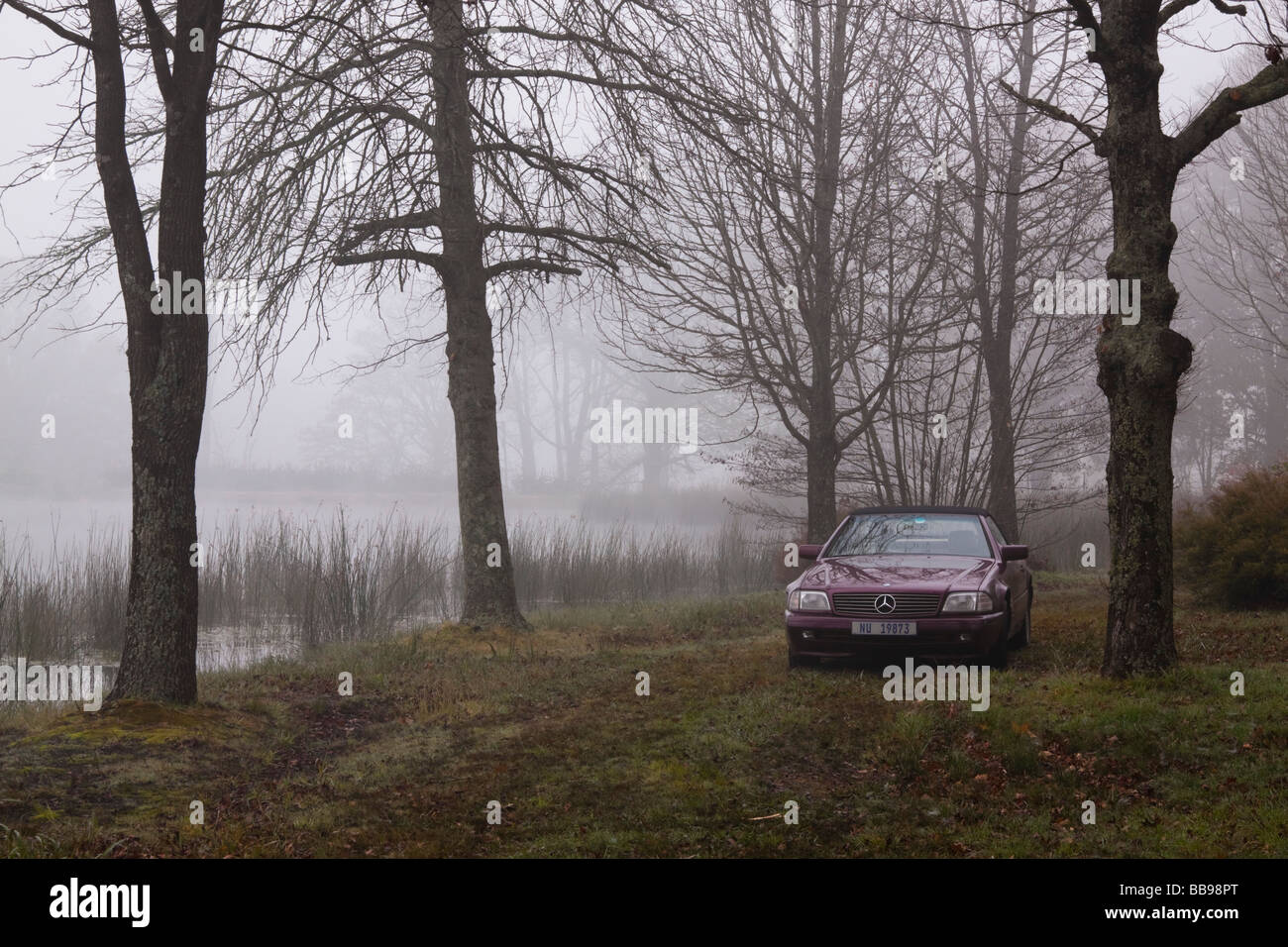 Car at the lake Stock Photo - Alamy