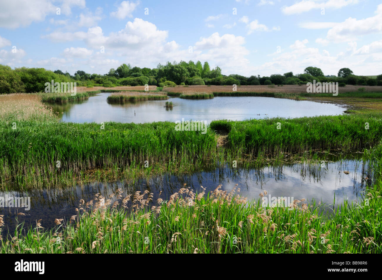 Fowlmere rspb nature reserve hi-res stock photography and images - Alamy