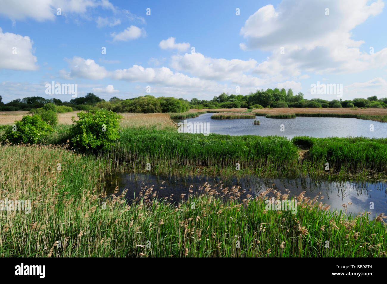 Fowlmere rspb nature reserve hi-res stock photography and images - Alamy