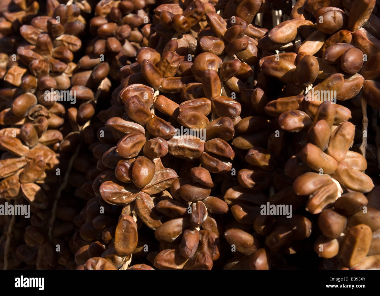 Drying dates hi-res stock photography and images - Alamy
