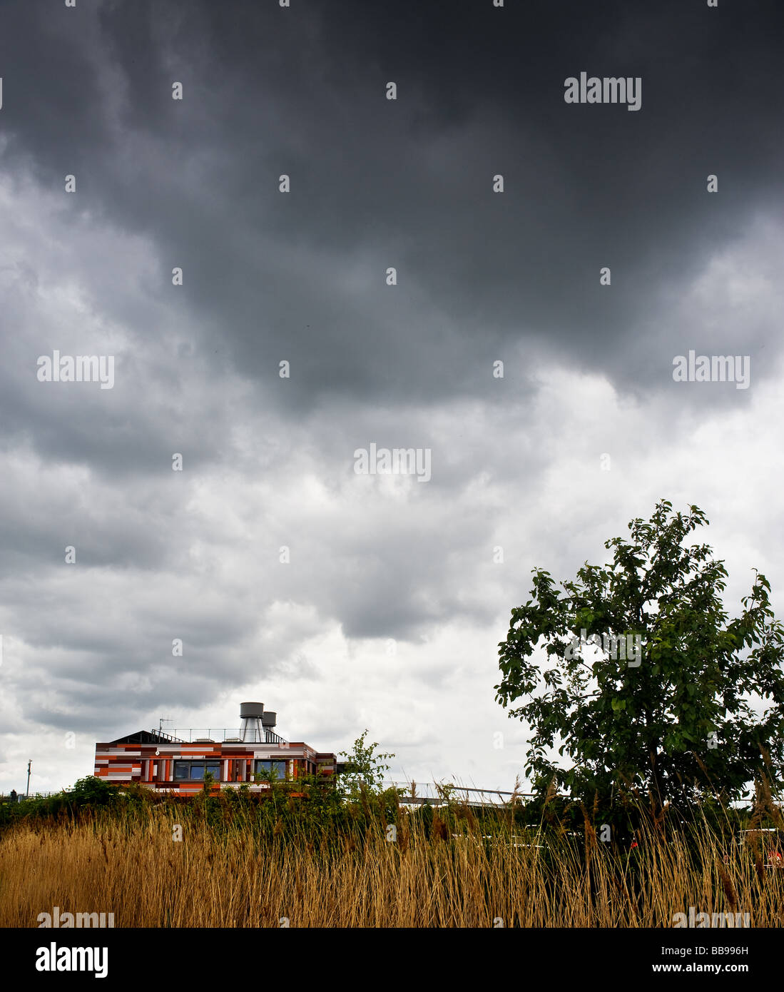 Rainham rspb hi-res stock photography and images - Alamy