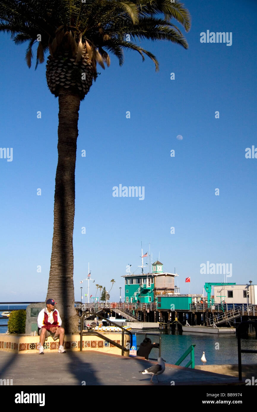 The Green Pier in Avalon Harbor on Catalina Island California USA Stock ...