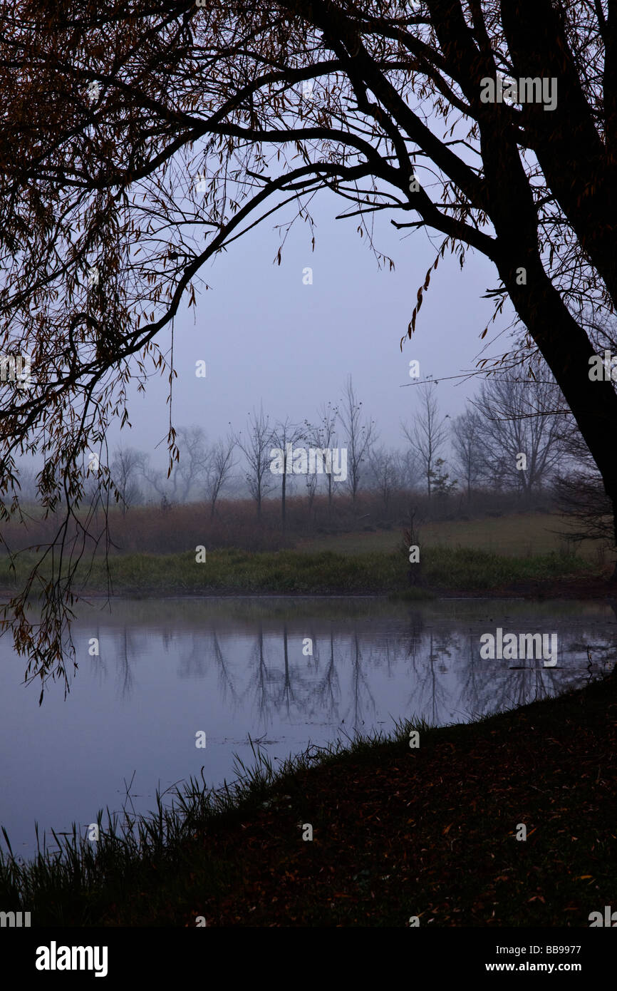 Early morning mist over lake Stock Photo - Alamy