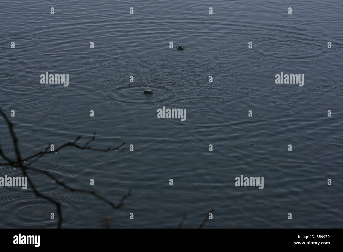 Ripples in a pond Stock Photo - Alamy