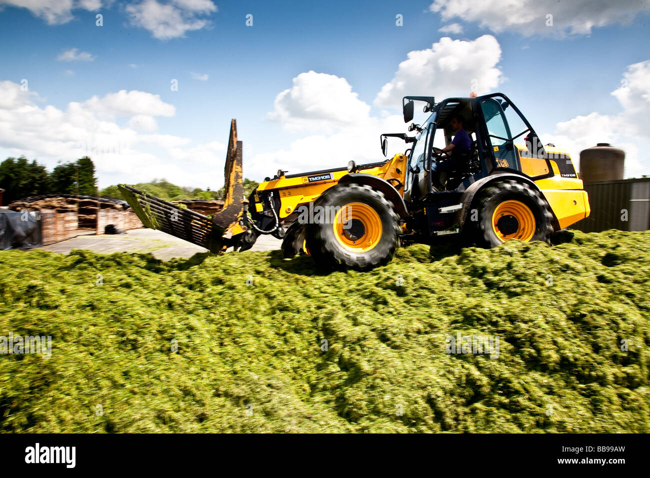 JCB 310s Telehandler packing up the Grass into the Silage clamp at ...