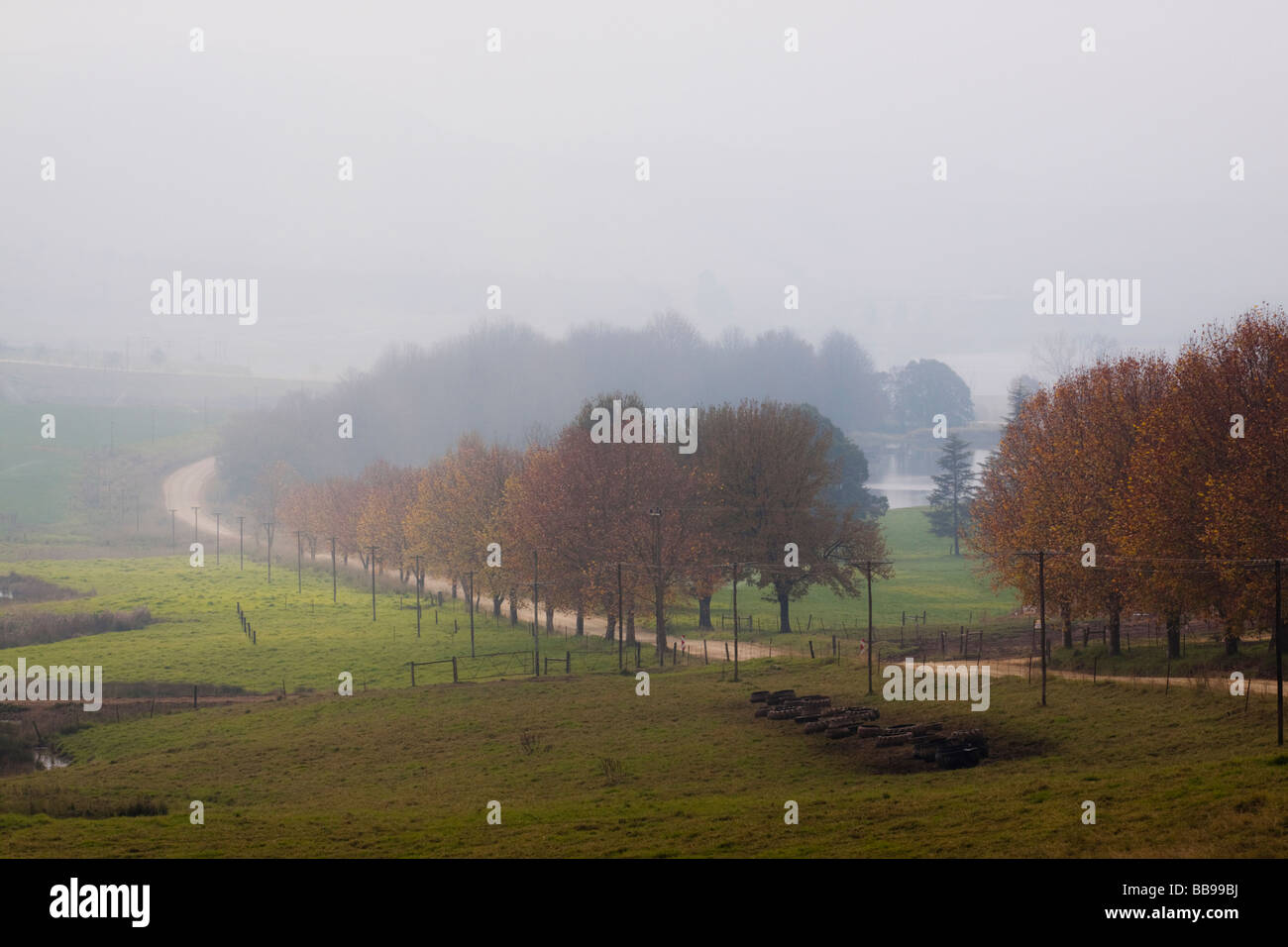 Misty farm hi-res stock photography and images - Alamy
