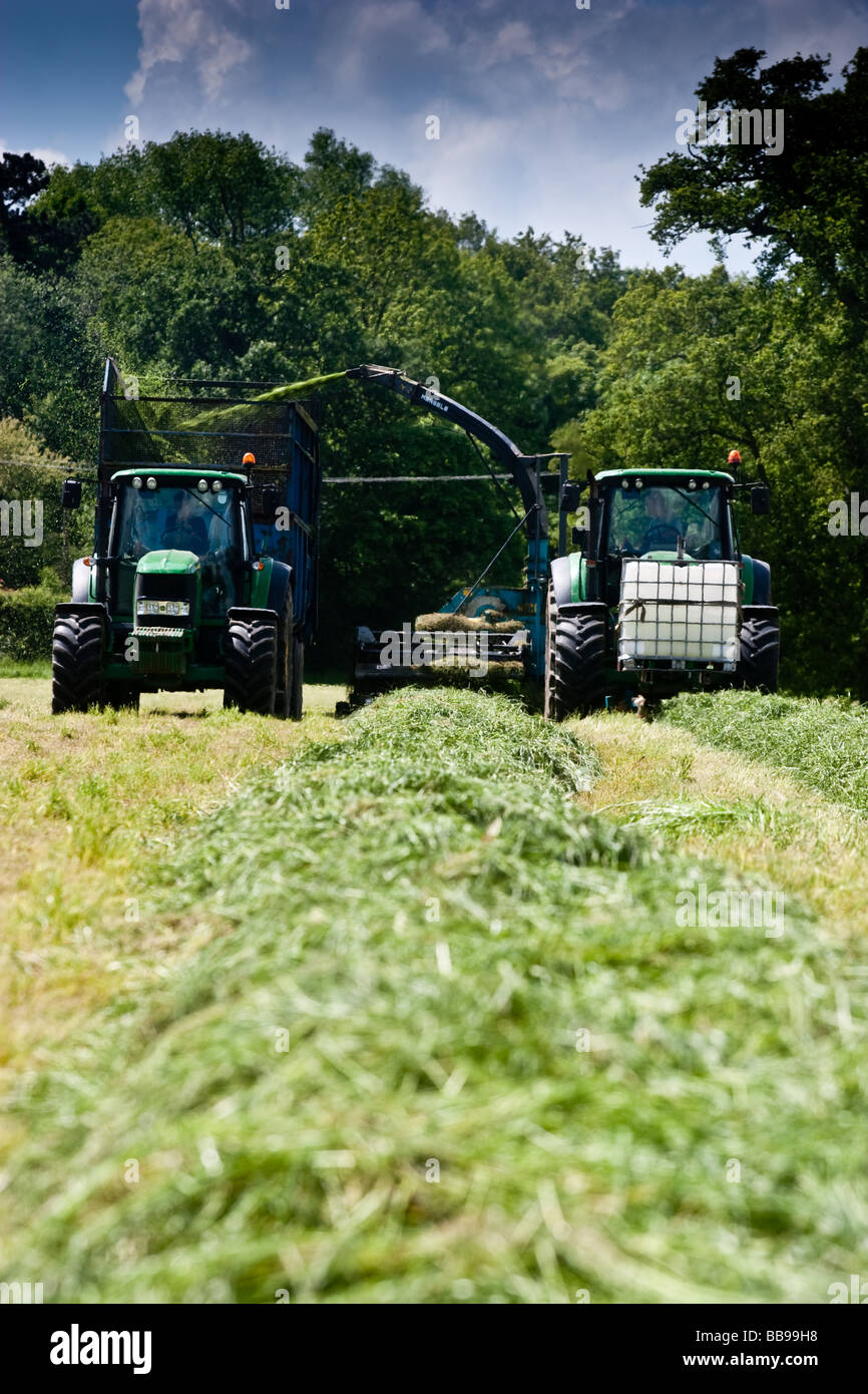 Forage Harvester And Silage Trailer High Resolution Stock Photography ...