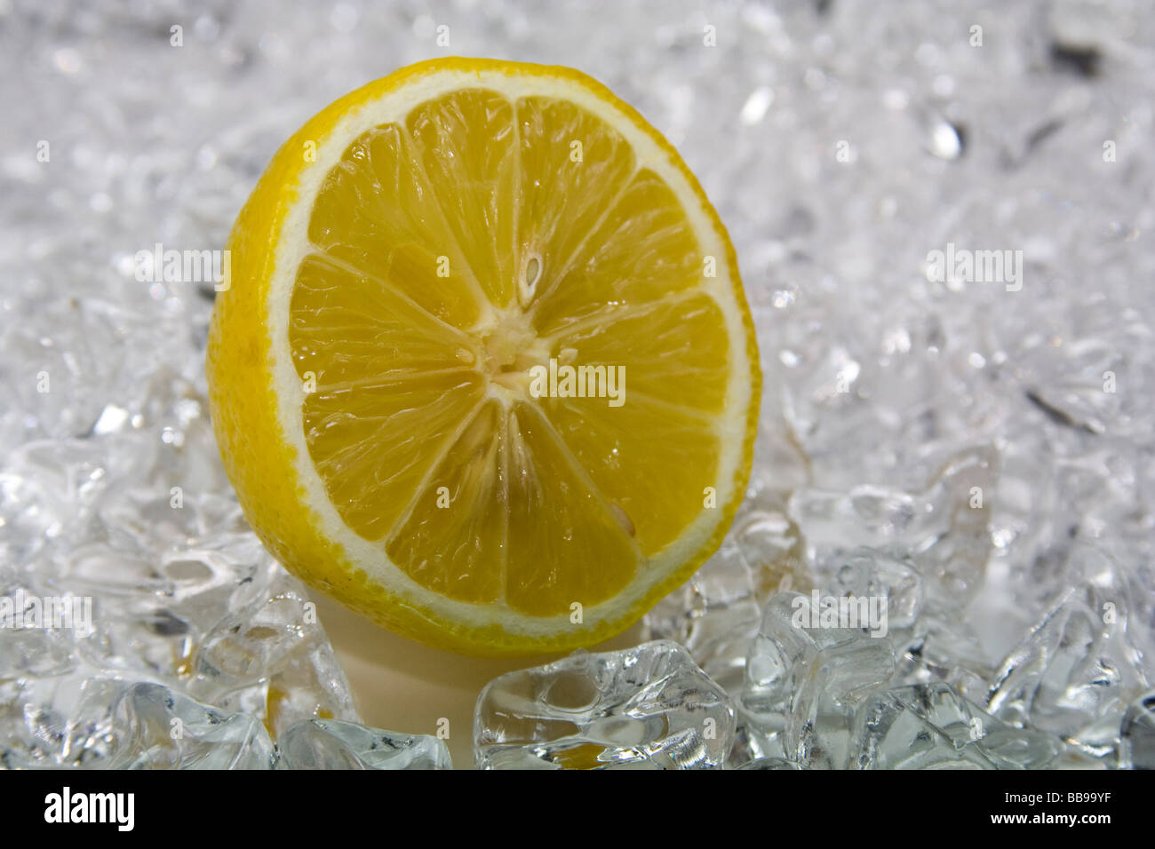 fresh lemon on ice Stock Photo - Alamy