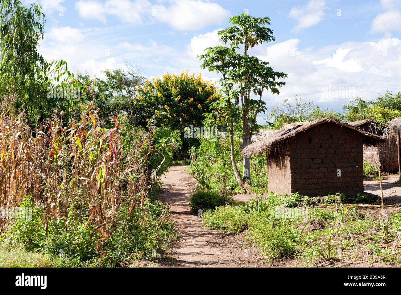 Typical african village hi-res stock photography and images - Alamy