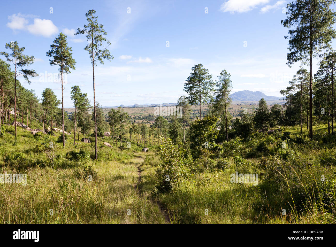 Looking south from the foothills of Dedza Mountain, Dedza, Malawi ...