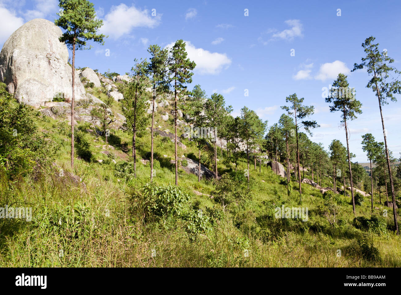 In the foothills of Dedza Mountain, Dedza, Malawi, Africa Stock Photo ...