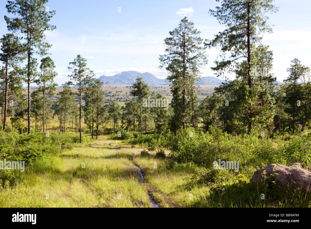 Malawi mountain hi-res stock photography and images - Alamy