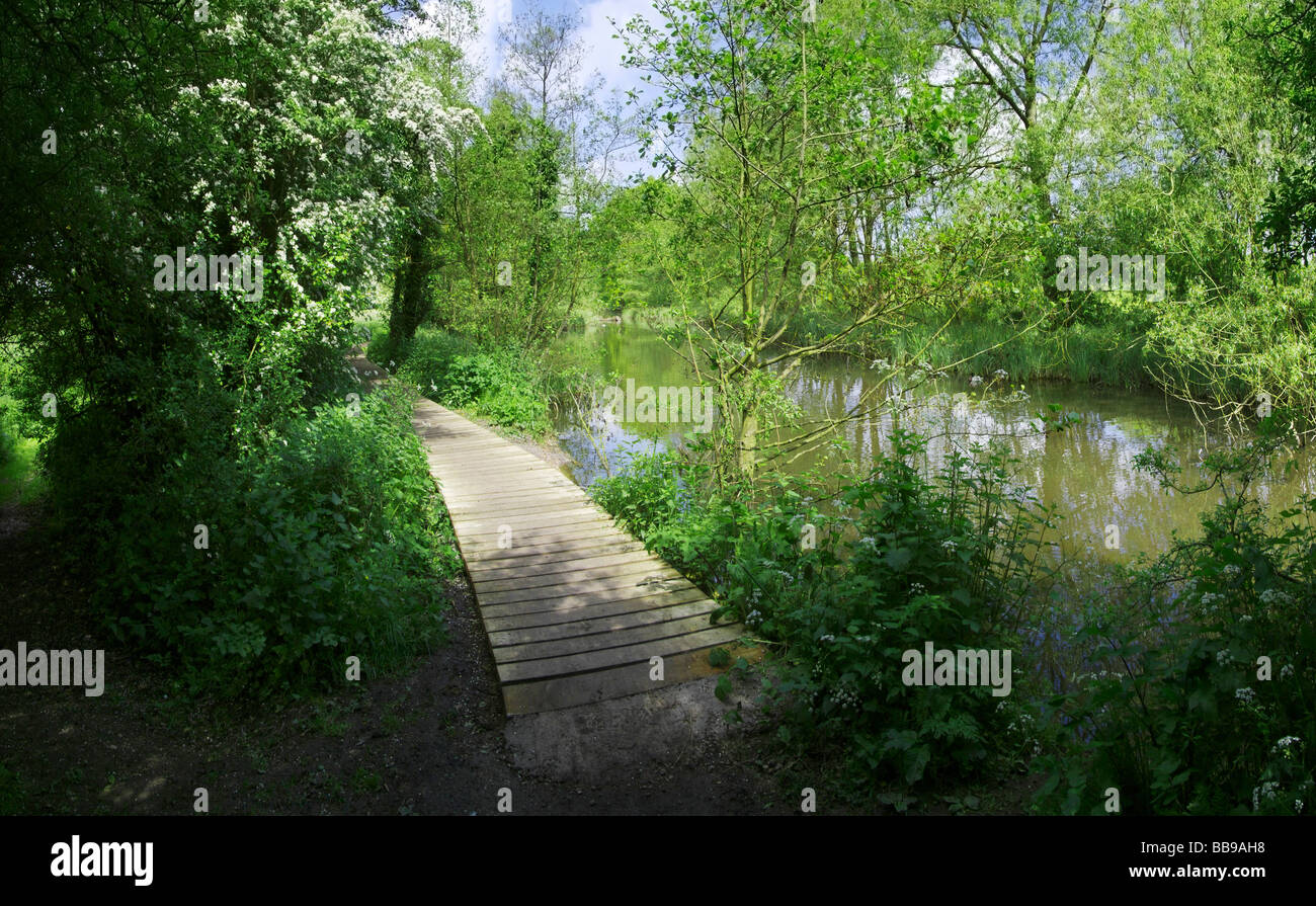 footpath alongside a river Stock Photo - Alamy