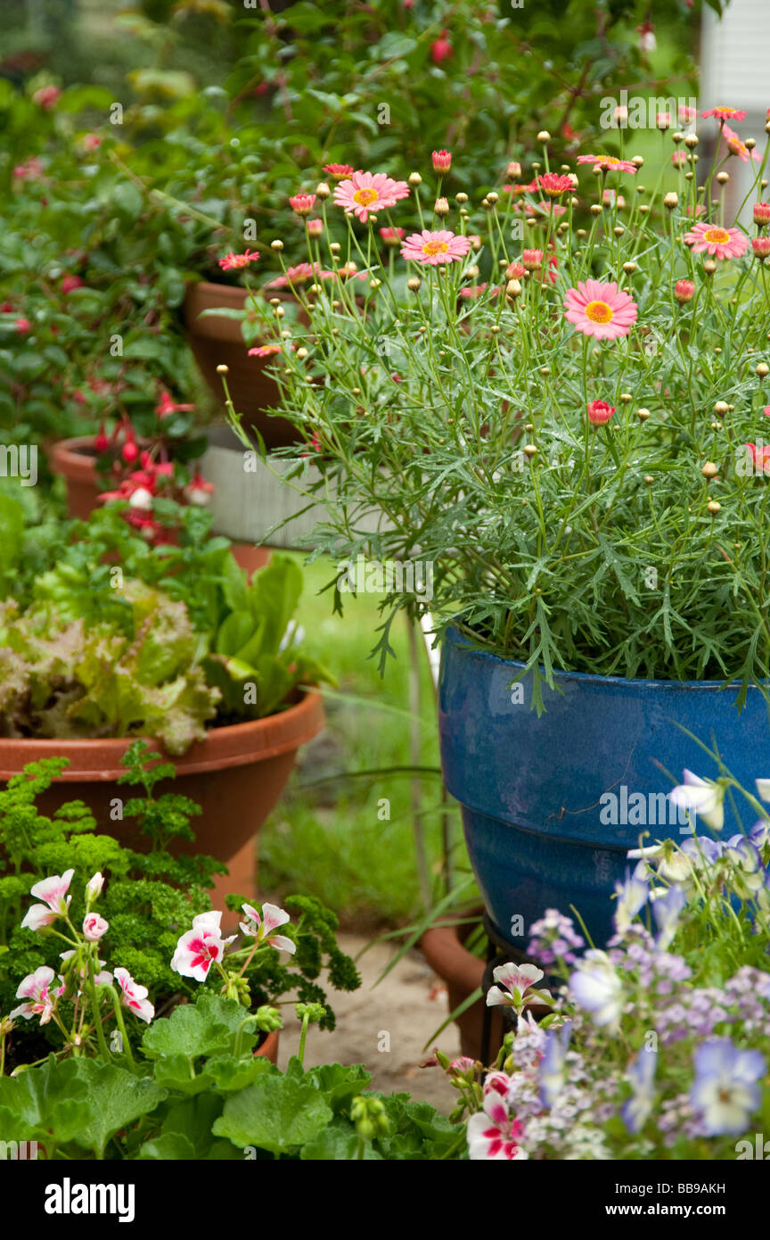 Blue garden pots hi-res stock photography and images - Alamy