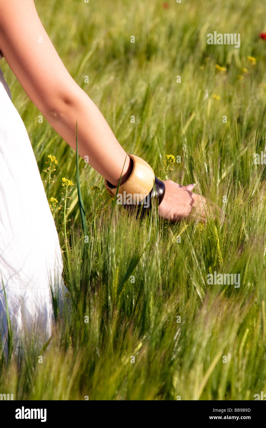 Hand in wheat field Stock Photo - Alamy