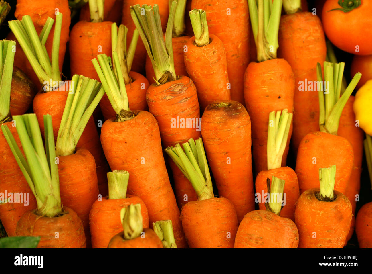 Carrots on display Stock Photo - Alamy