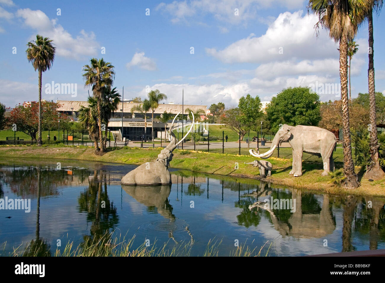 Models of mammoths at the La Brea Tar Pits in Hancock Park Los Angeles ...