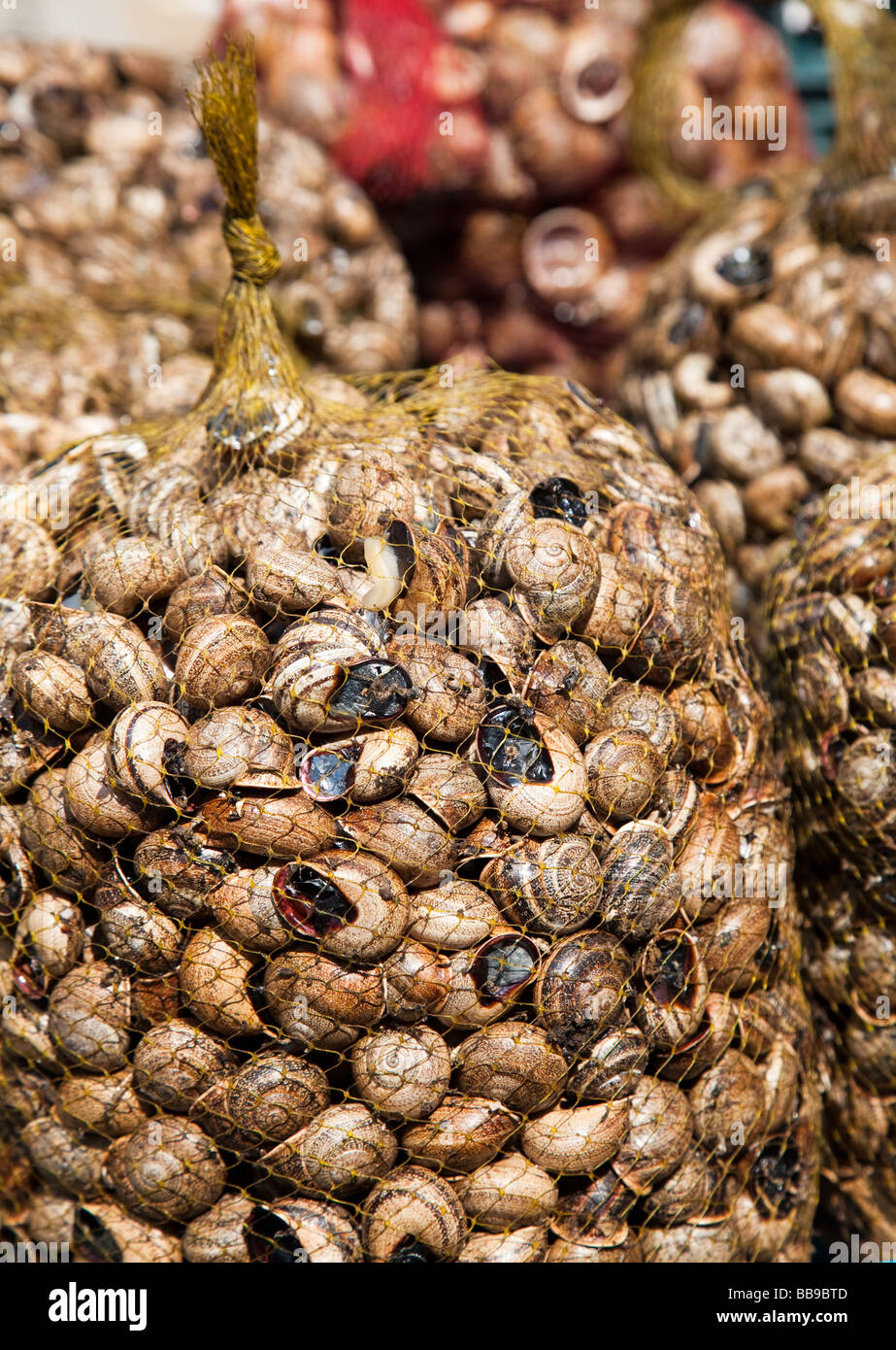 Snails food mallorca hi-res stock photography and images - Alamy