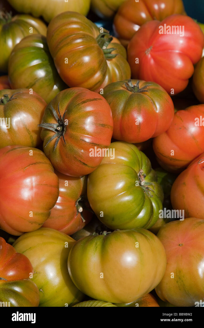 Tomatoes in spain hi-res stock photography and images - Alamy