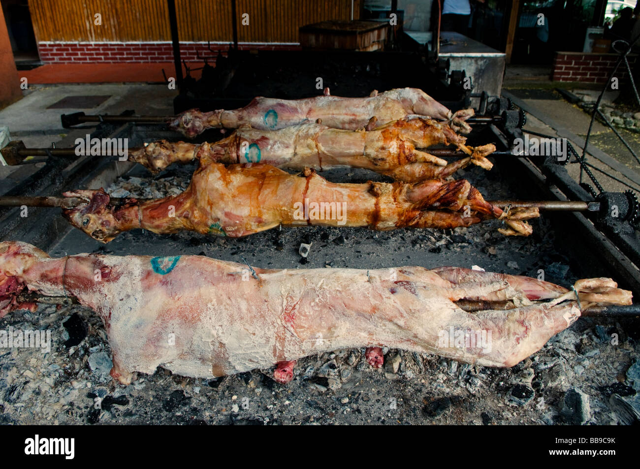 Grilled lamb on spit in Bosnia and Herzegovina Stock Photo - Alamy