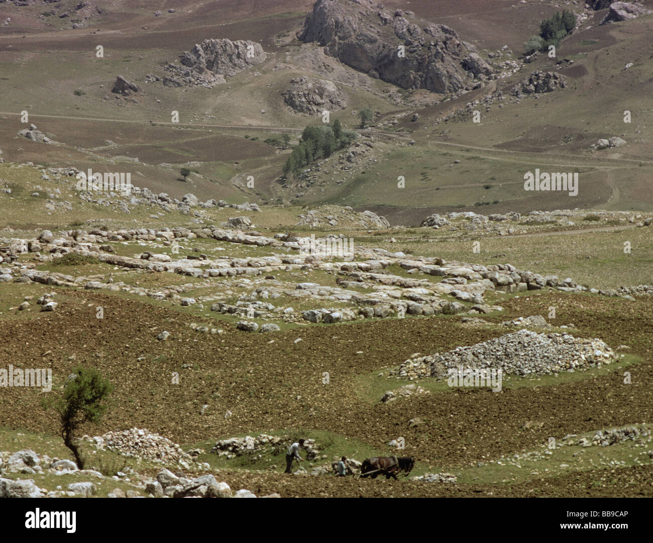 Central anatolia farmer hi-res stock photography and images - Alamy