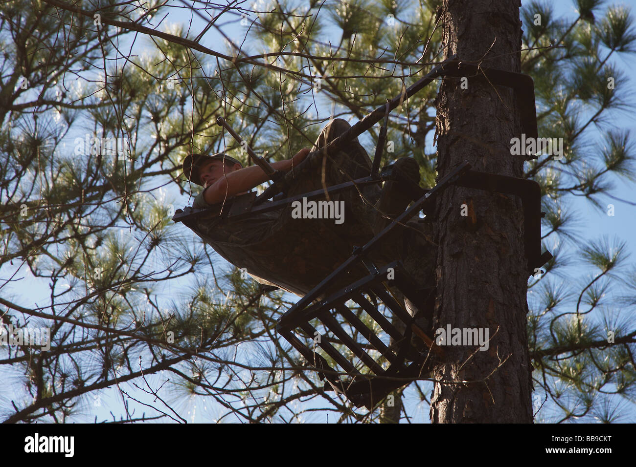 CLOSE UP HUNTER SITTING IN A TREE STAND HIGH IN A PINE FOREST MOSSY OAK ...
