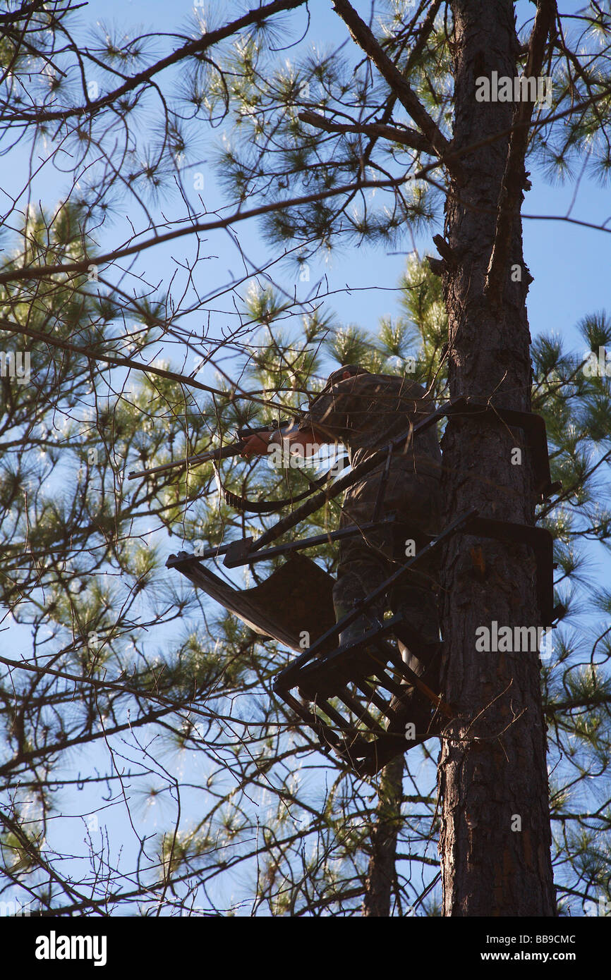 HUNTER STANDING IN TREE STAND FIRING WEAPON HIGH IN A PINE FOREST MOSSY ...