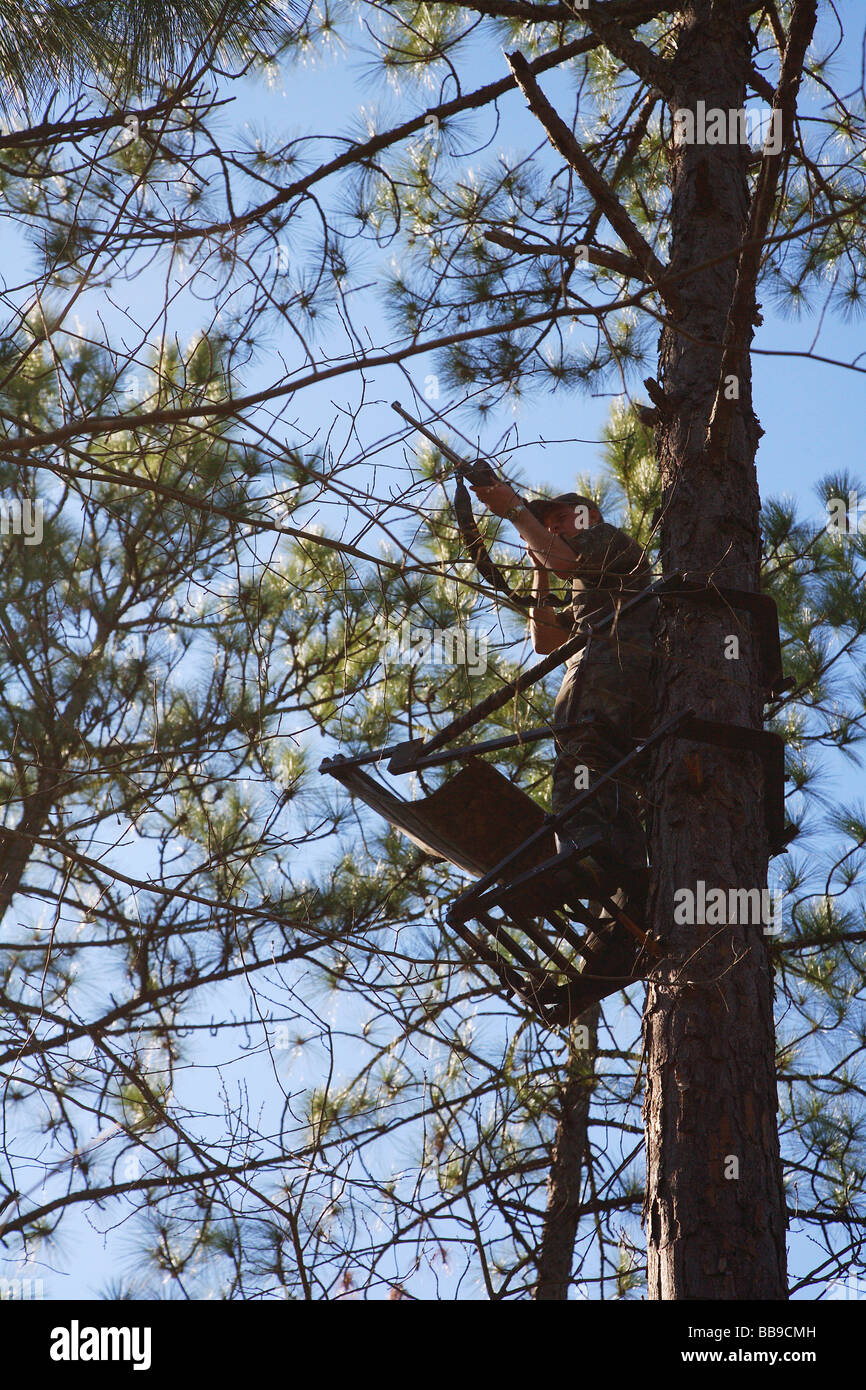 HUNTER STANDING IN TREE STAND FIRING WEAPON HIGH IN A PINE FOREST MOSSY ...