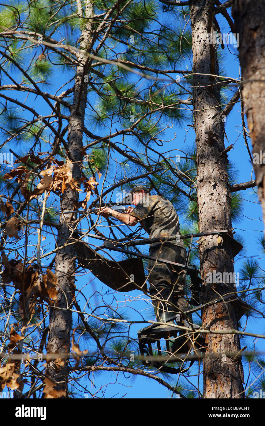 CLOSE UP HUNTER STANDING IN TREE STAND FIRING WEAPON HIGH IN A PINE ...