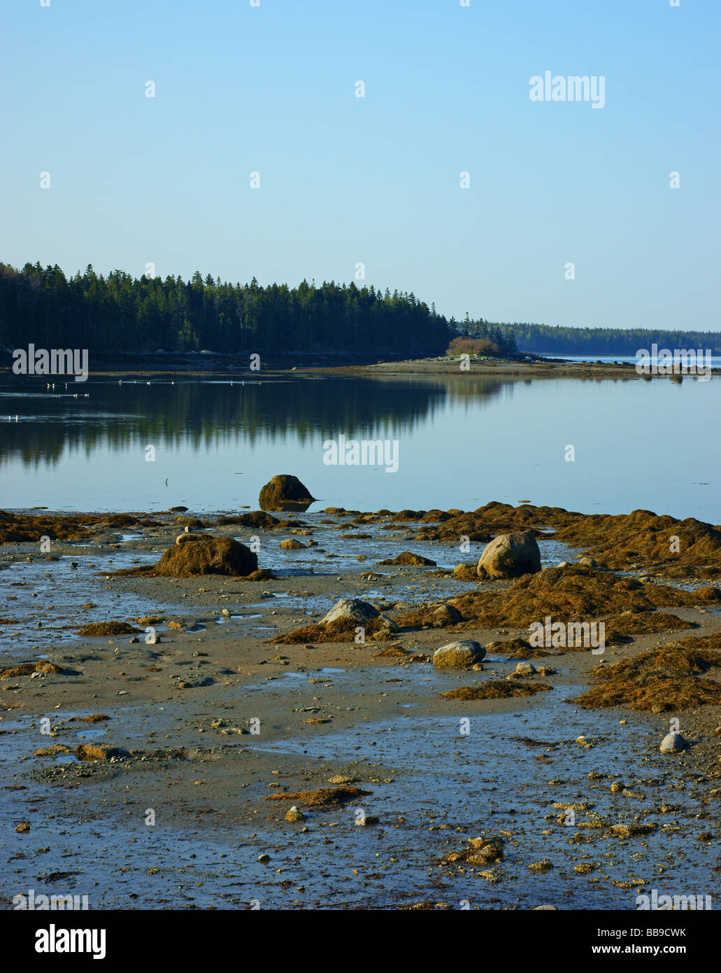 Down east maine hi-res stock photography and images - Alamy
