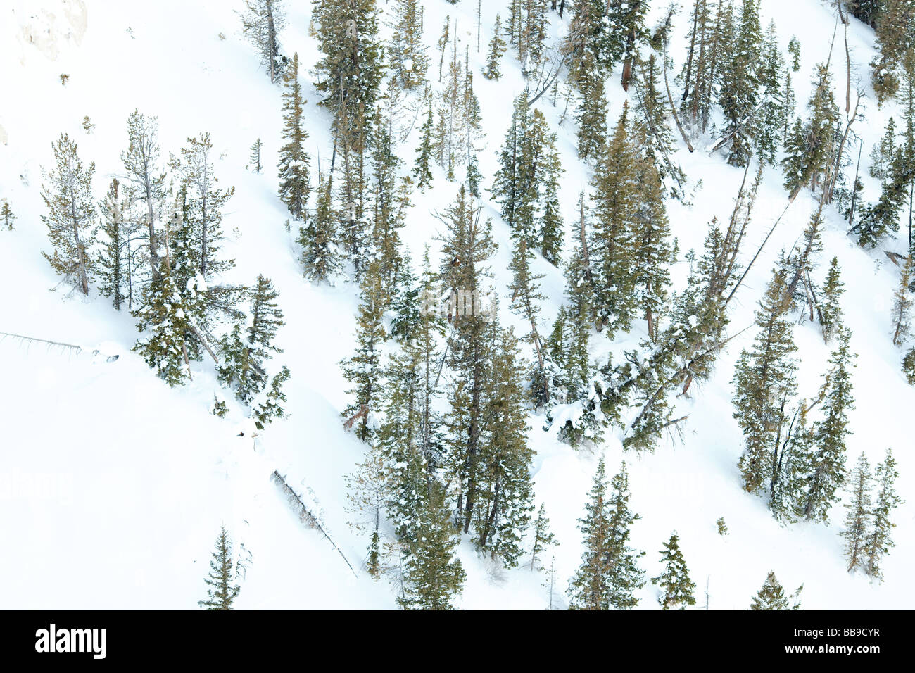Bryce Canyon National Park in Winter Snow, Garfield County and Kane ...