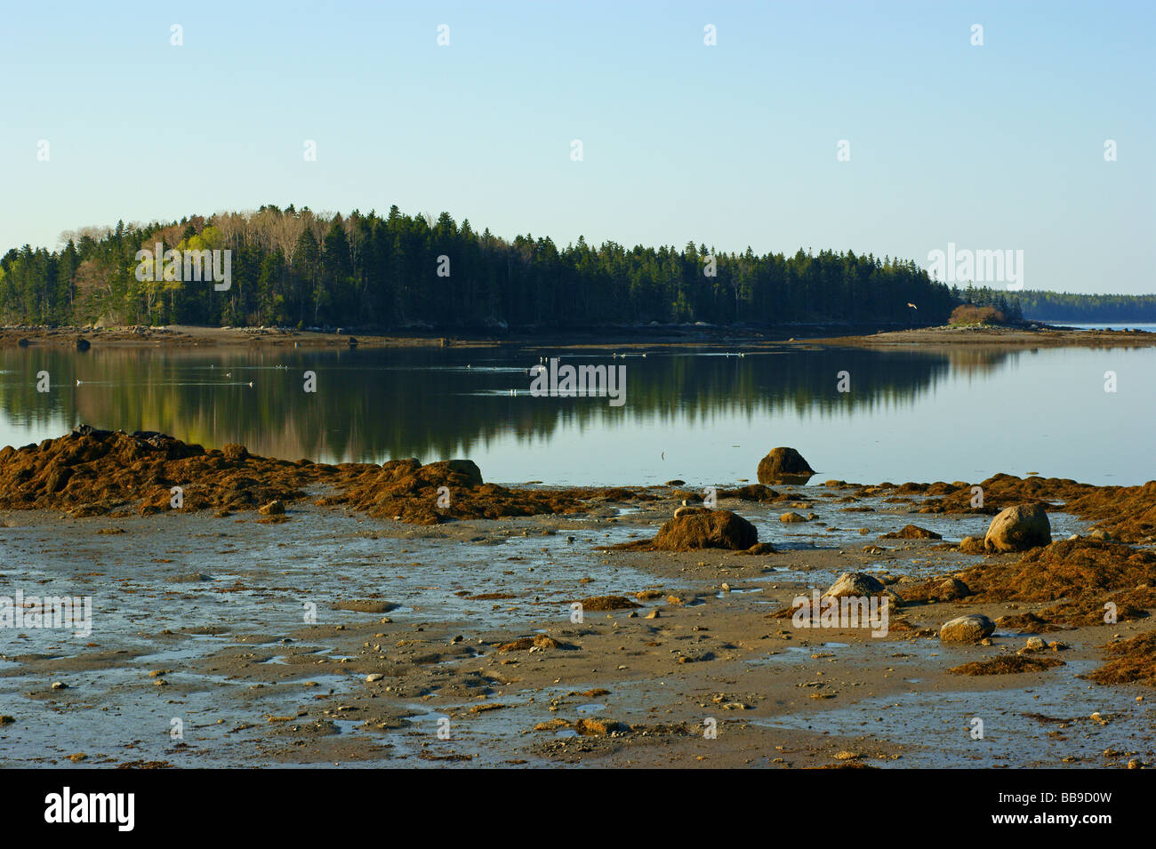 Down east maine hi-res stock photography and images - Alamy