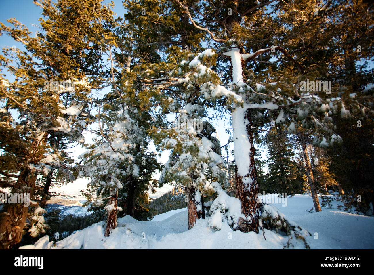 Bryce Canyon National Park in Winter Snow, Garfield County and Kane ...
