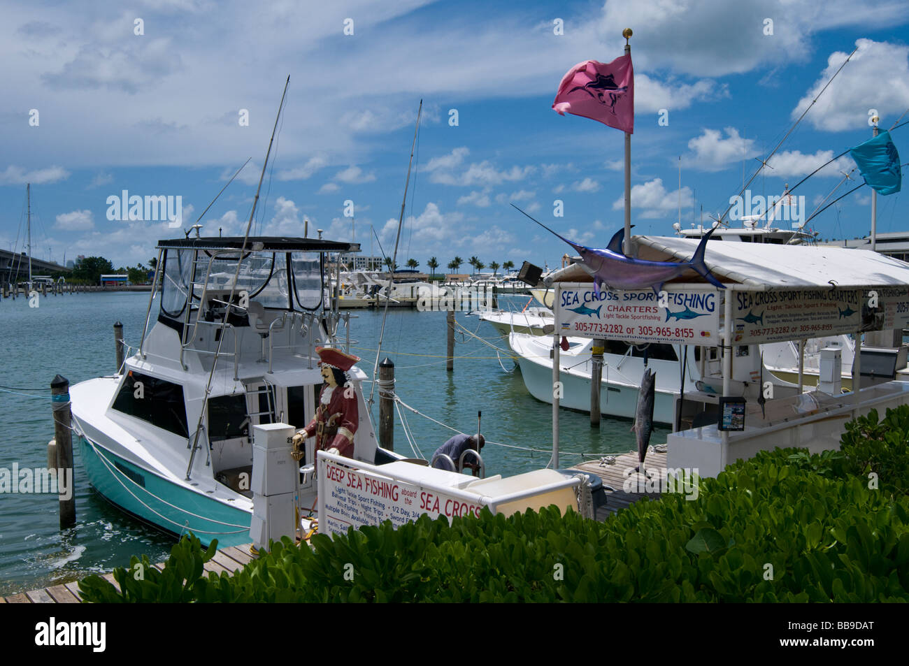 Big fishing miami hi-res stock photography and images - Alamy
