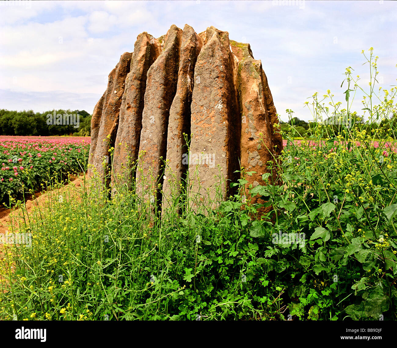 The Queens Stone Nr Goodrich Hereford and Worcester England. A Bronze ...