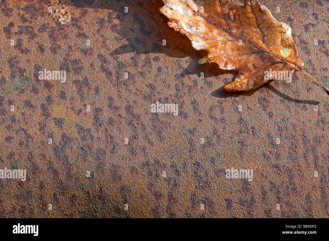 Decay texture hi-res stock photography and images - Alamy