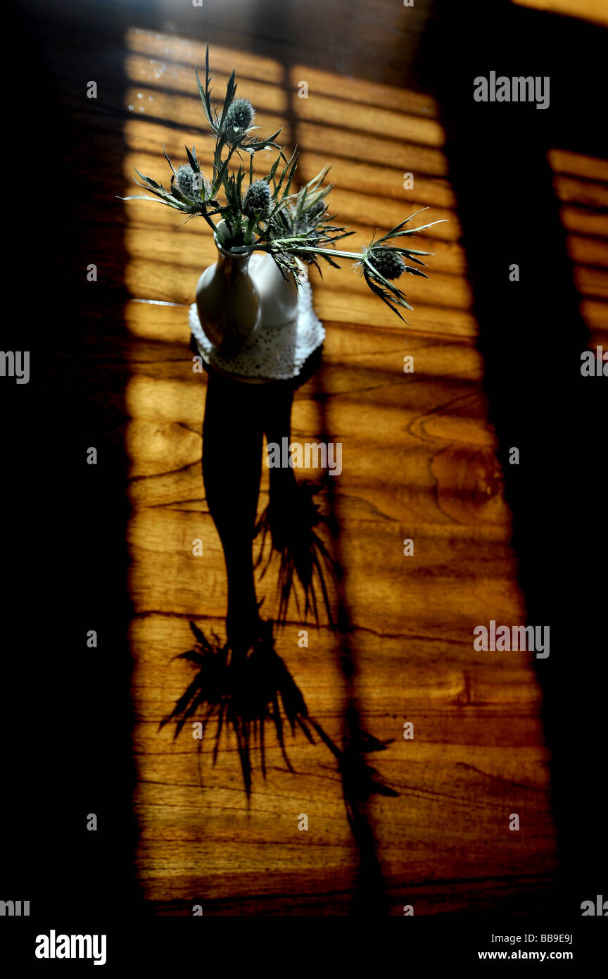 Cast shadow of flowers hi-res stock photography and images - Alamy