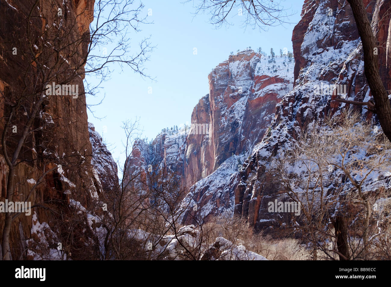 Zion National Park with Snow in Winter - Utah Plateau, Zion National ...