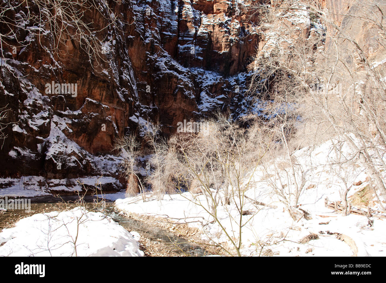 Zion National Park with Snow in Winter - Utah Plateau, Zion National ...