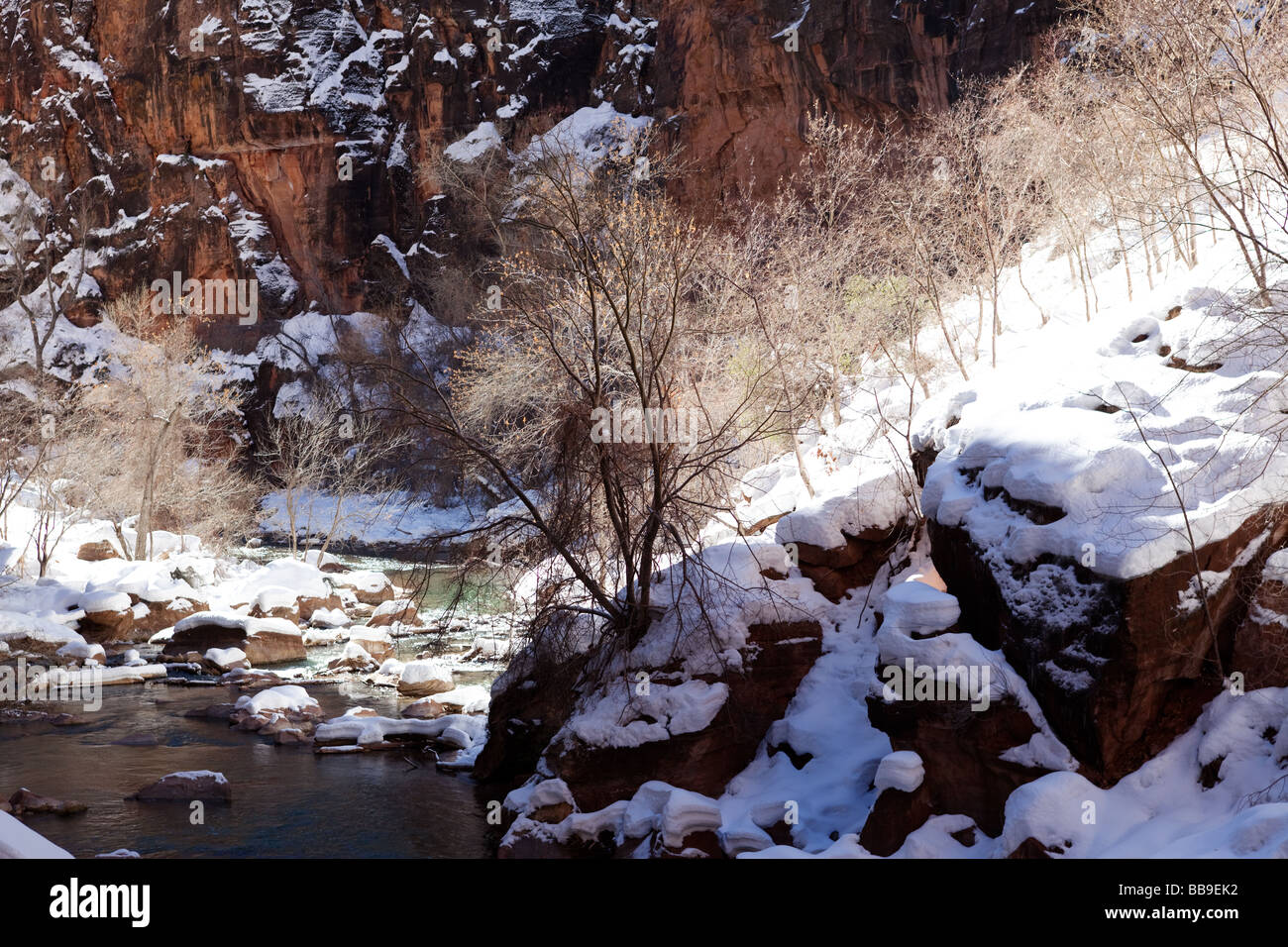 Zion National Park with Snow in Winter - Utah Plateau, Zion National ...