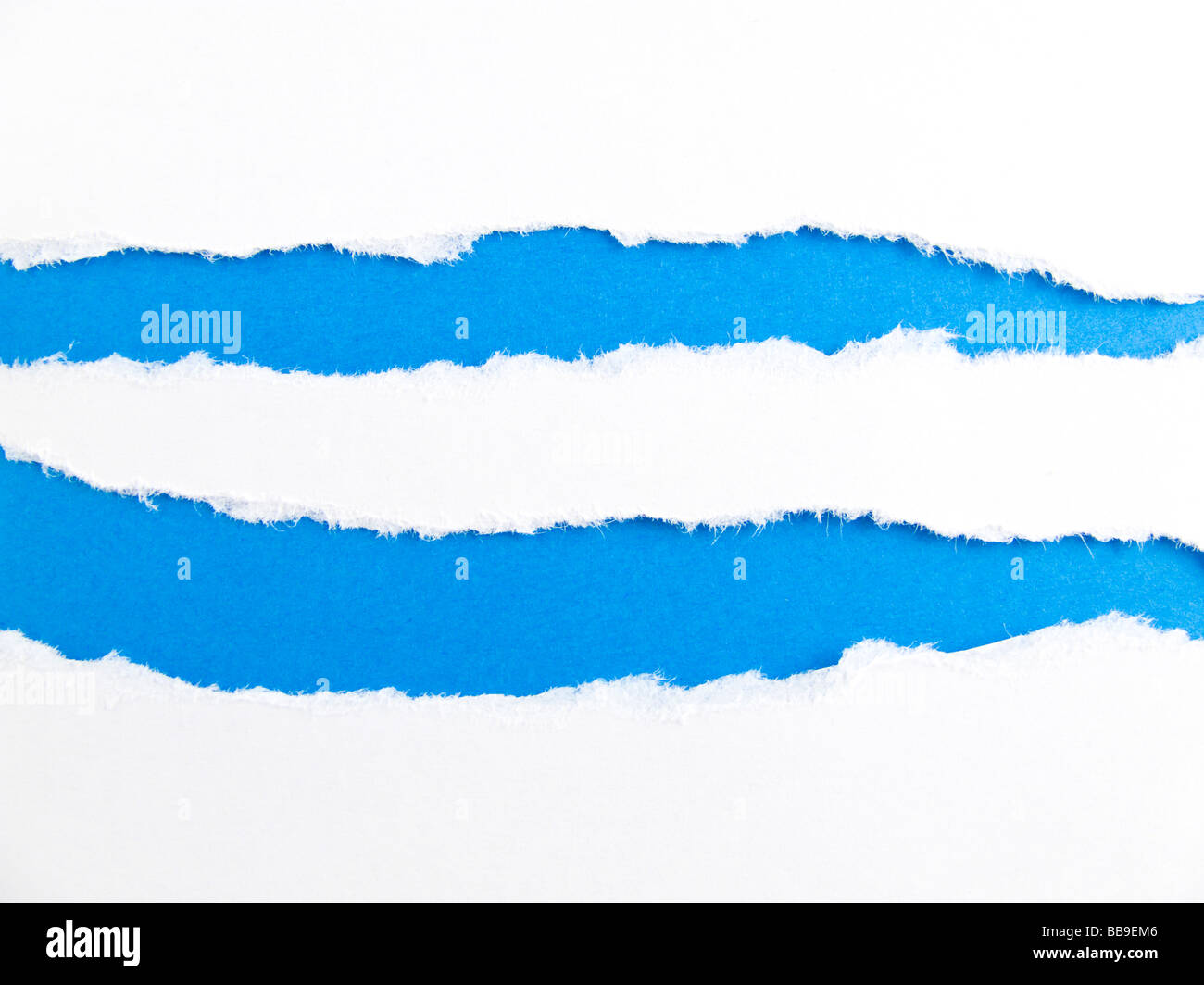 Blue stripes, under white torn paper. Tear in paper. Texture of torn ...