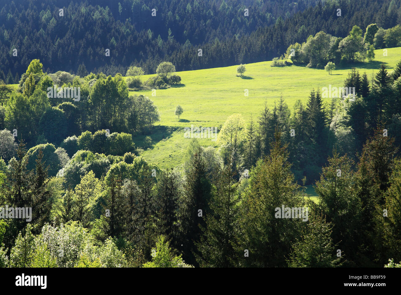 Spring mountain meadow Stock Photo - Alamy