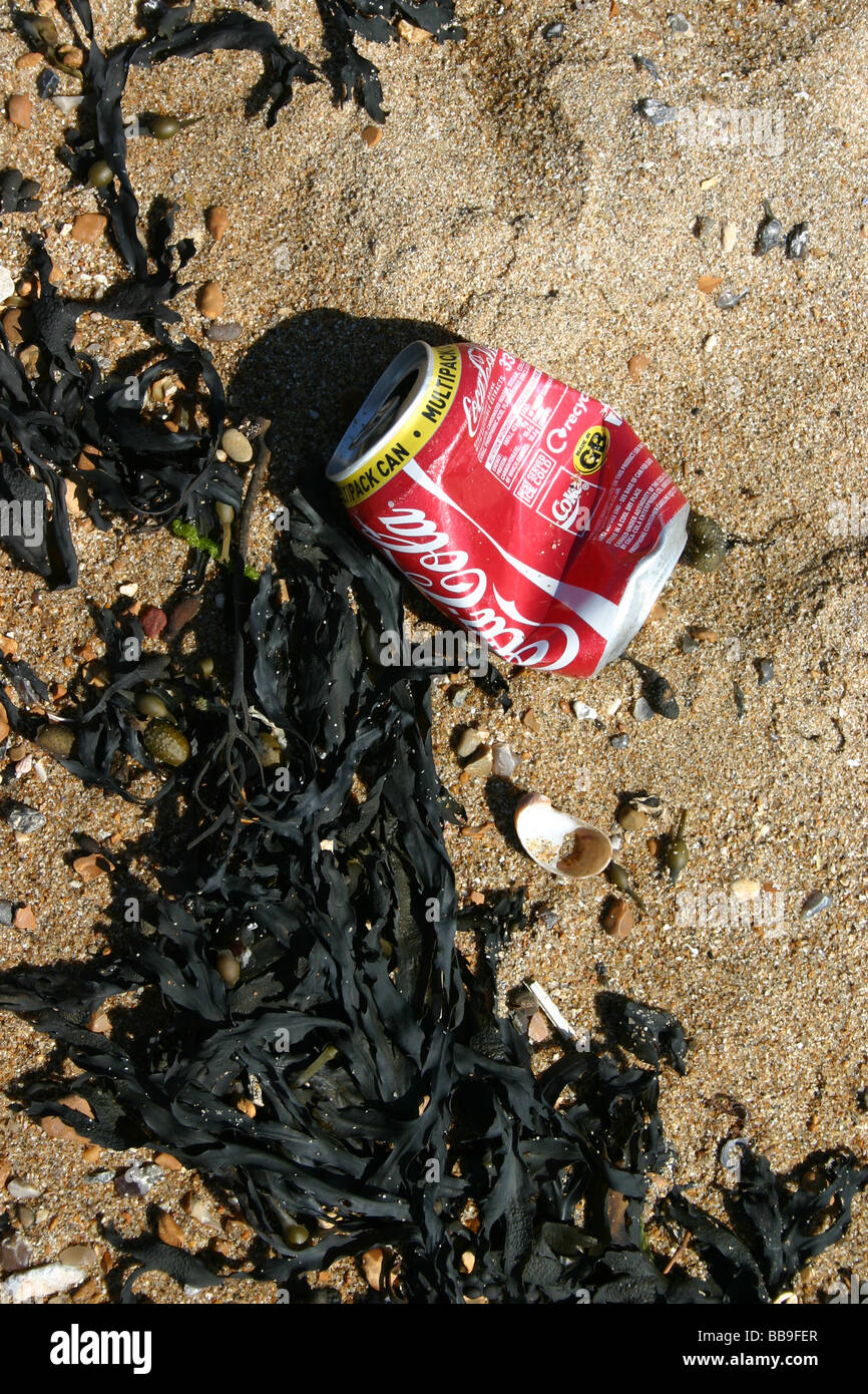 Flotsum & Jetsum on Cuckmere Haven Beach Stock Photo - Alamy